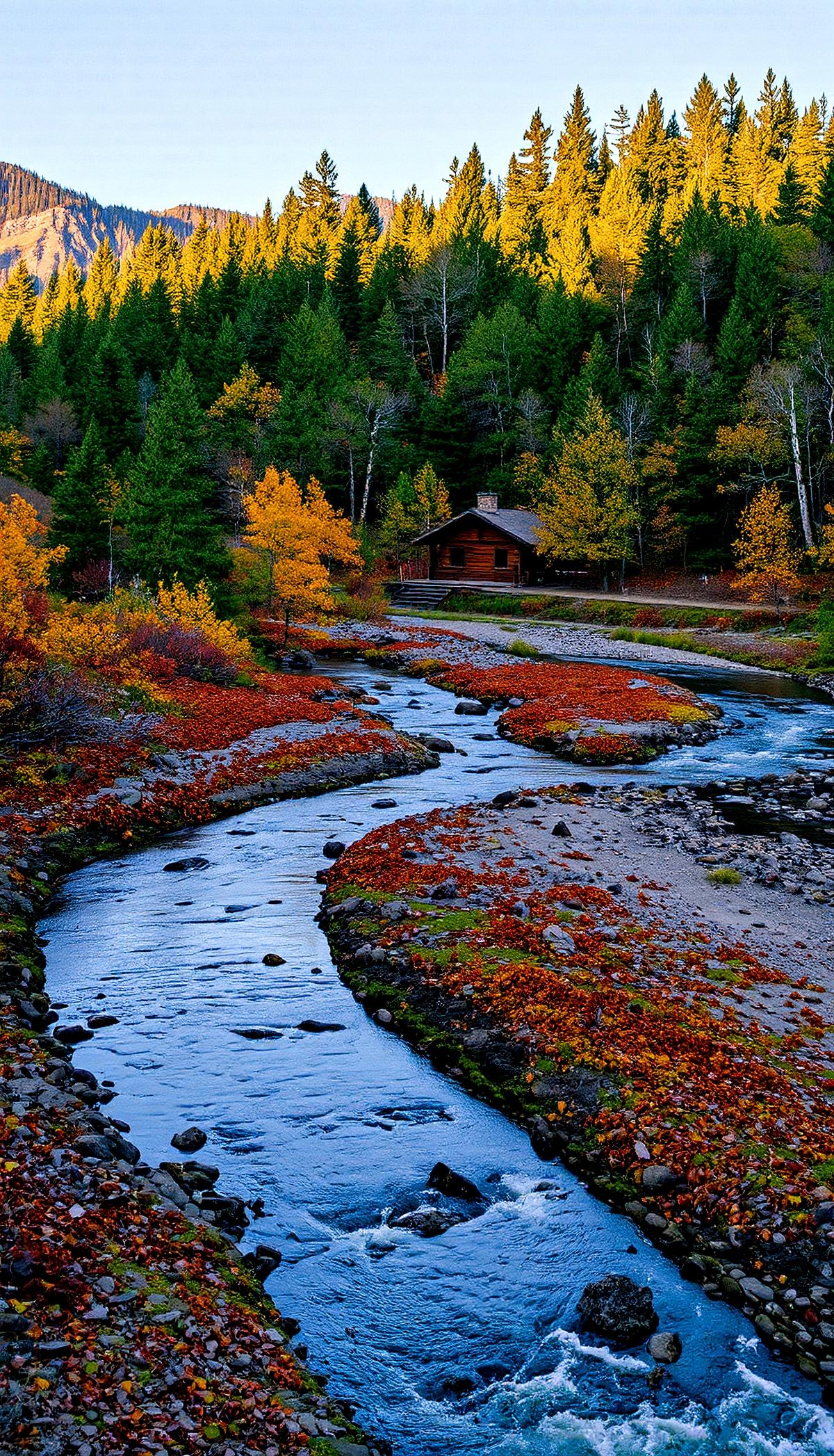 Image posted by DNA_1_618