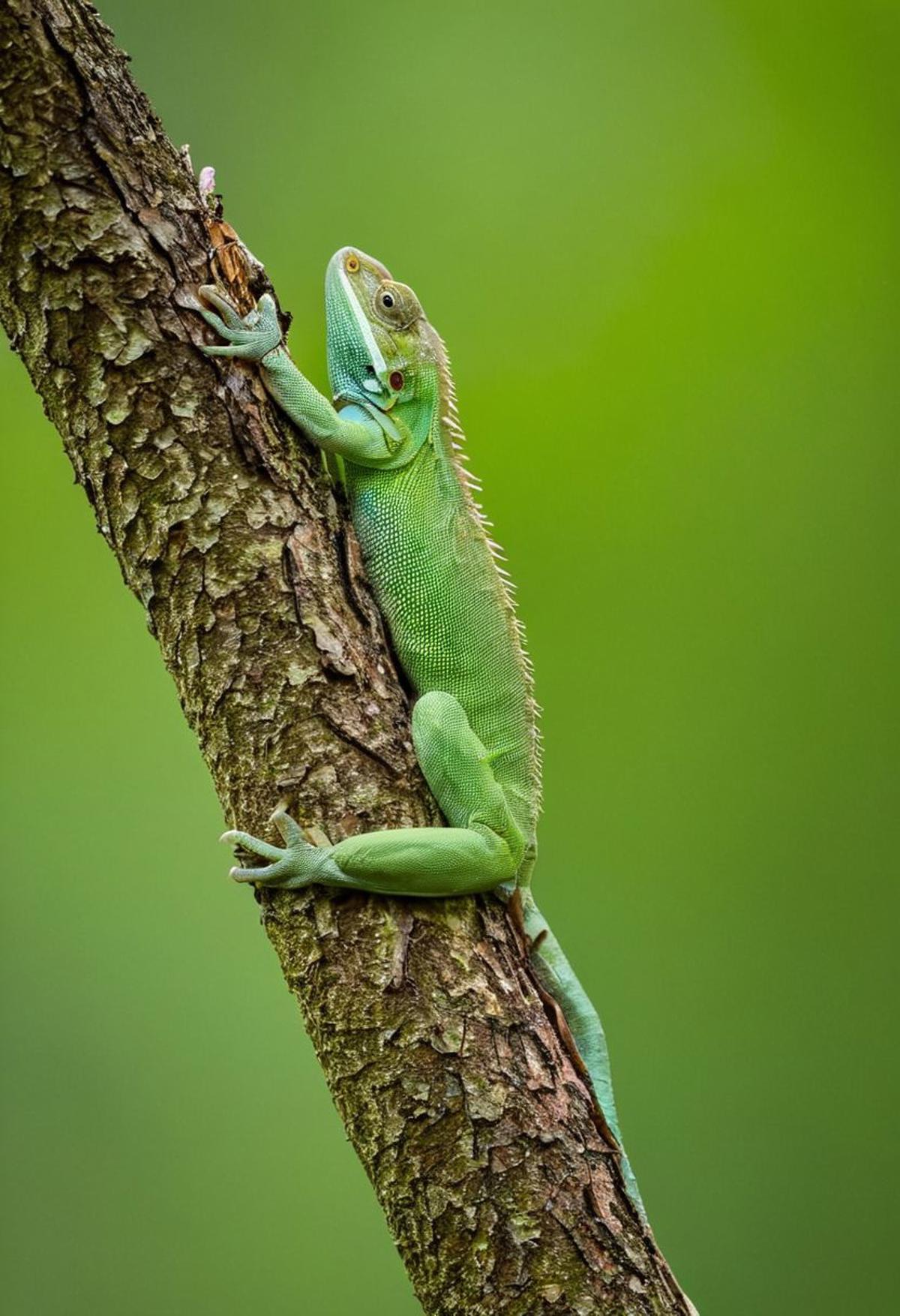 Image posted by 6vidit9