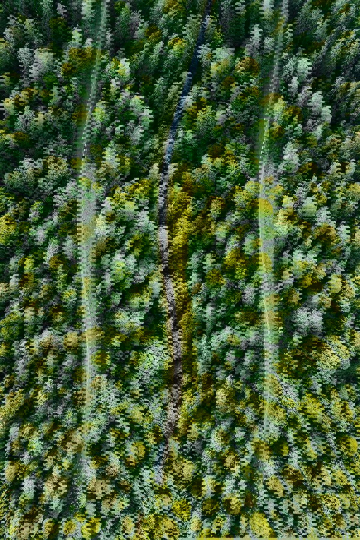 Nature SDXL/大自然的鬼匠神工 - v1.0 | Stable Diffusion XL LoRA | Civitai