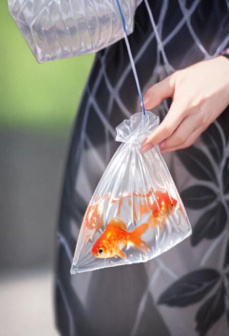 金魚袋 bagged goldfish SDXL - SDXL_V1 | Stable Diffusion XL LoRA | Civitai