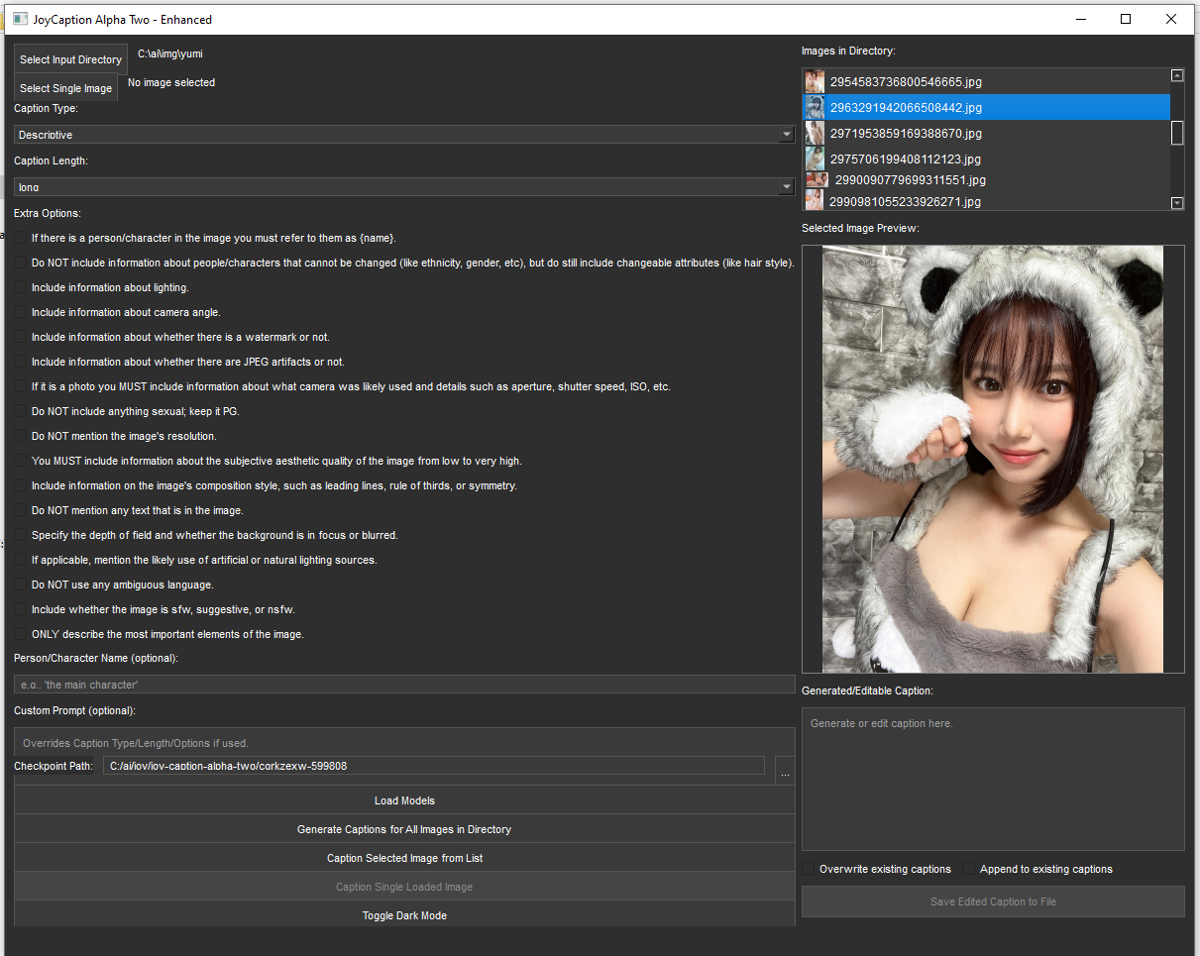 JoyCaption -alpha-two-gui-mod | Civitai