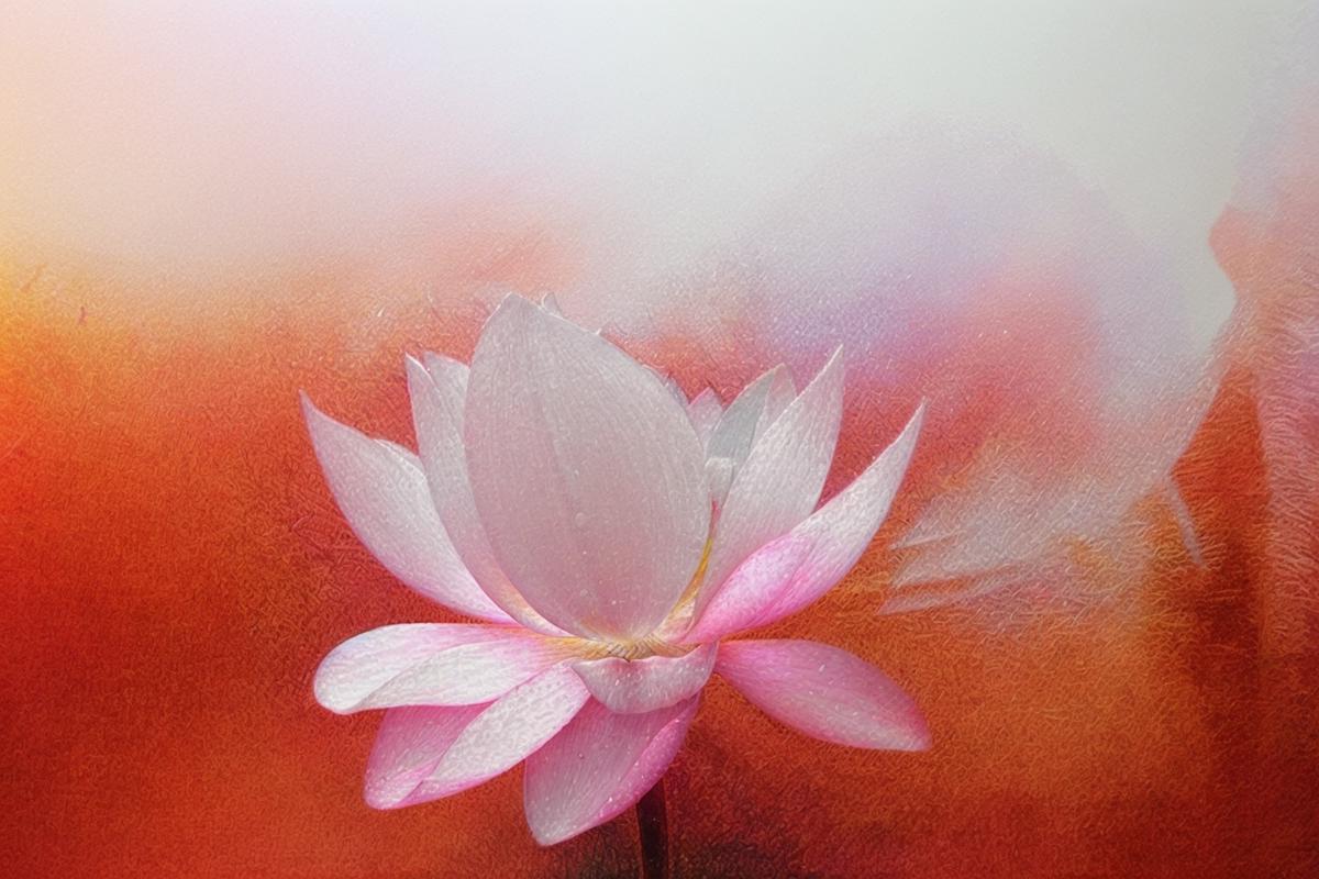 Image posted by AIGC_JXHX