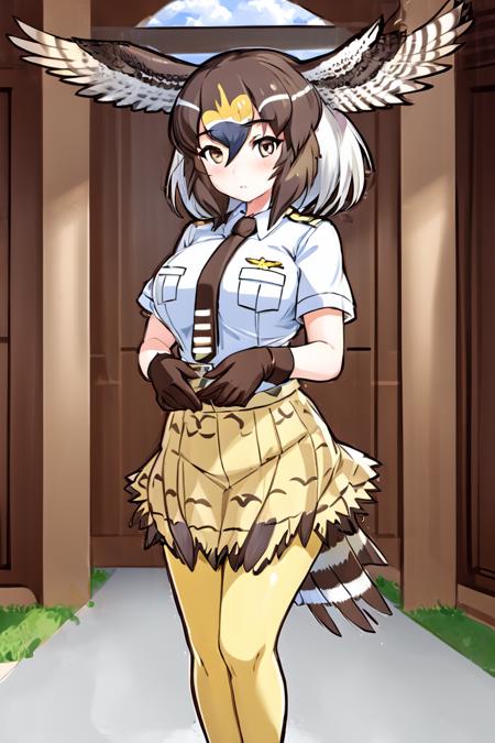 Peregrine Falcon (Kemono friends) - v1.0 | Stable Diffusion LoRA | Civitai
