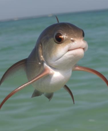 Ghosts, alters, and Mourie | Civitai